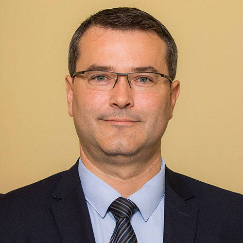 Profile: Anatol Usatîi